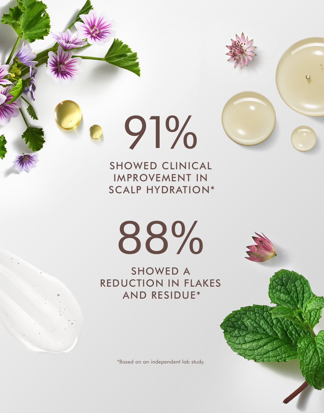 Scalp Balancing Shampoo for All Hair Types | Moroccanoil®