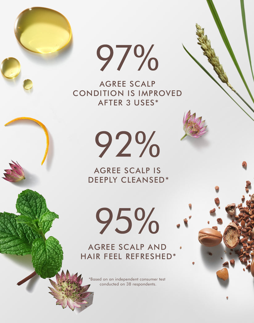 Purifying Pre-Wash Scalp Scrub for All Hair Types | Moroccanoil®